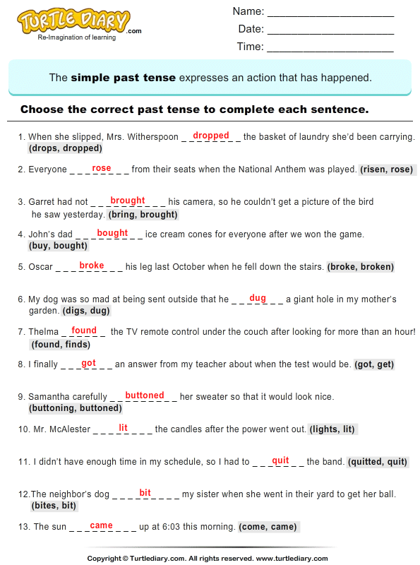 NEW 541 SIMPLE PAST TENSE WORKSHEETS FOR GRADE 3 WITH ANSWERS Tenses 