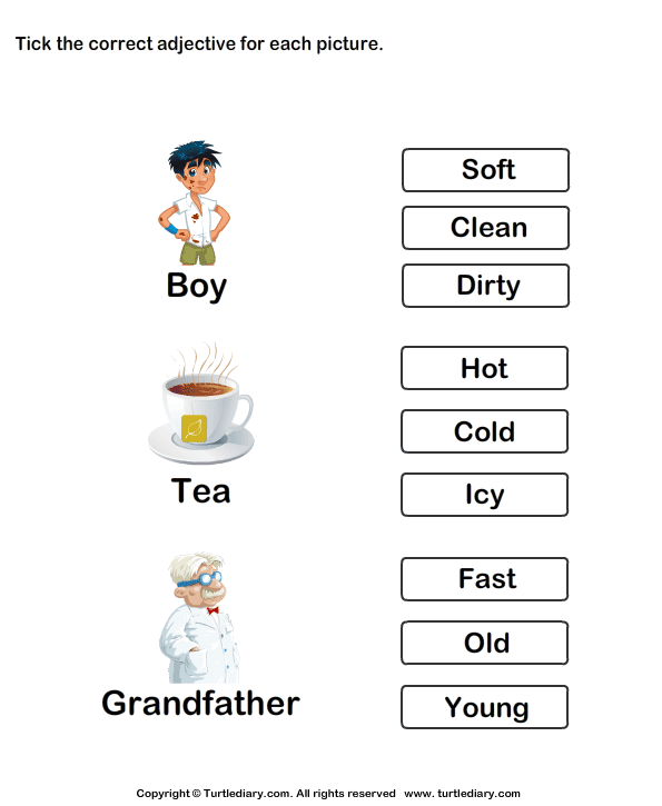 Choose The Best Adjective Worksheet 4 Turtle Diary