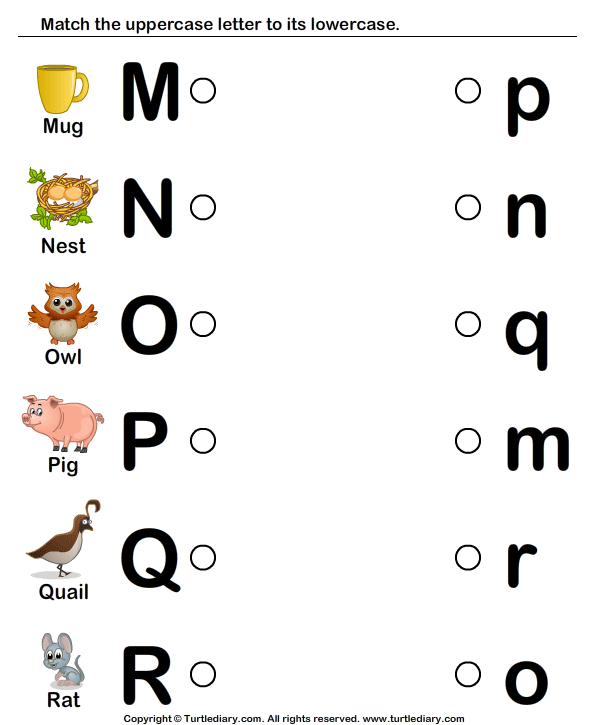 Match Upper Case And Lower Case Letters Worksheet 11 Turtle Diary Match Upper Case And Lower Case Letters Worksheet 11 Turtle Diary