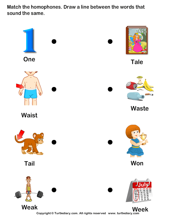 Match The Homophones Worksheet Turtle Diary Match The Homophones Worksheet Turtle Diary