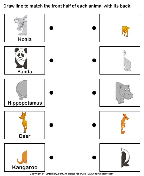 Match Animal Body Parts Worksheet 6 - Turtle Diary