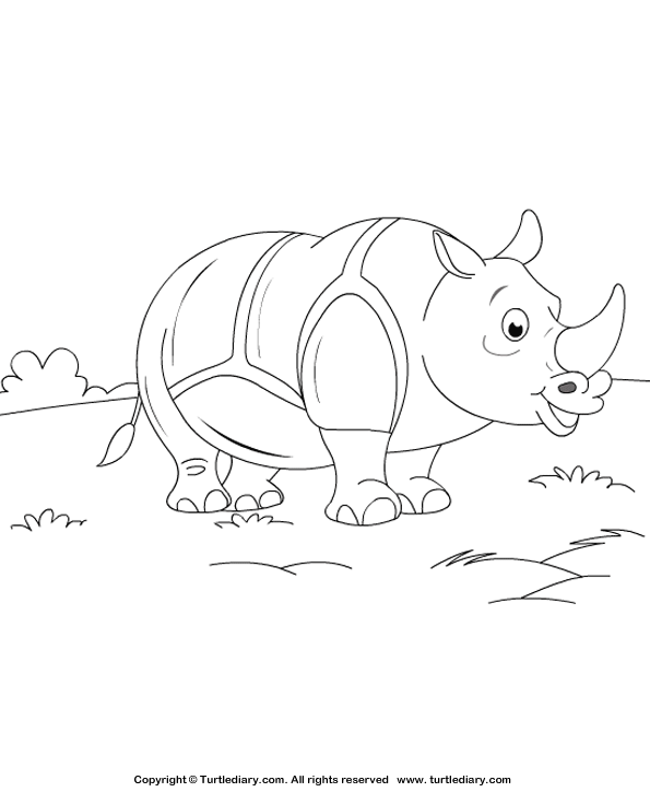 Rhinoceros Coloring Sheet | Turtle Diary