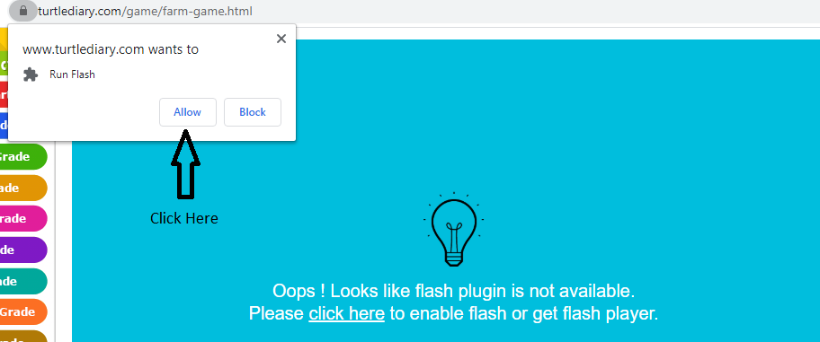 Flash Chrome Support- Turtle Diary