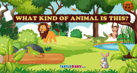 Farm Animals | Animal Game | Turtle Diary