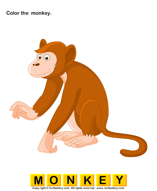 Color Monkey Worksheet - Turtle Diary