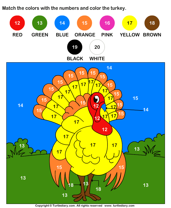 Color the Turkey by Numbers Worksheet - Turtle Diary