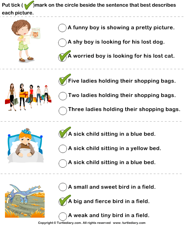 Sentences To Describe Pictures Worksheet Turtle Diary