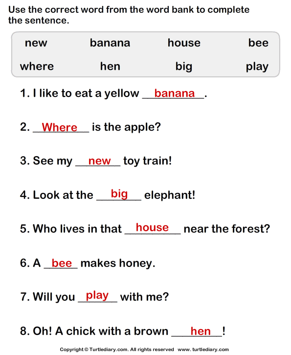 Use Word Bank To Complete The Sentence Worksheet Turtle Diary