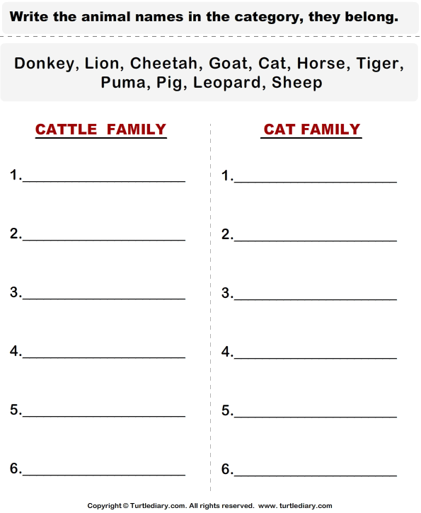 Categorization of Animals | Turtle Diary Worksheet Categorization of Animals | Turtle Diary Worksheet