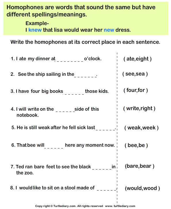 17 QUANTIFIERS WORKSHEET FOR GRADE 2 KidWorksheet 17 QUANTIFIERS WORKSHEET FOR GRADE 2 KidWorksheet