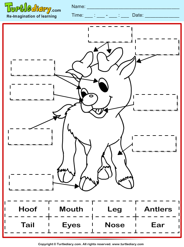 Label Reindeer Turtle Diary Worksheet Label Reindeer Turtle Diary Worksheet
