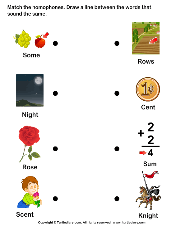 Match The Words That Sound Same Turtle Diary Worksheet