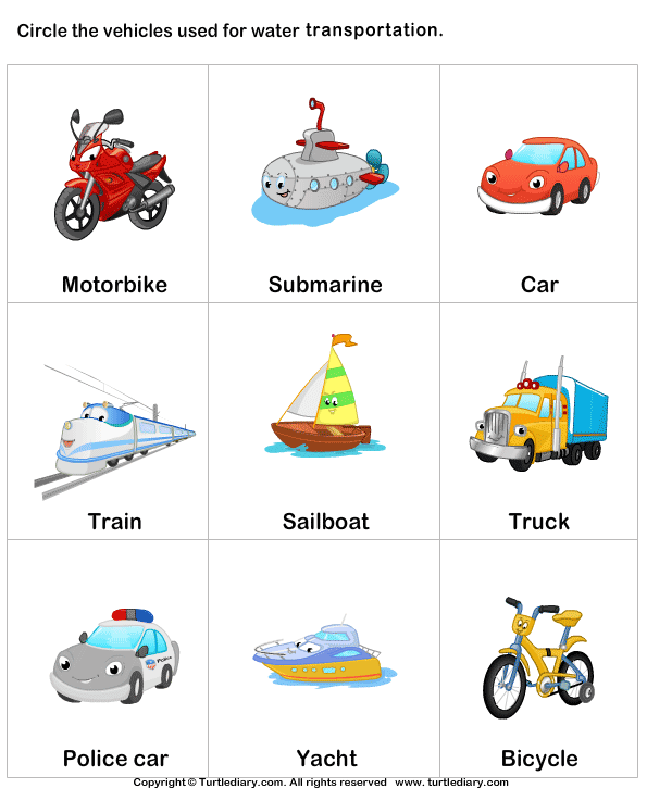 Name Of Water Transport Worksheet Turtle Diary