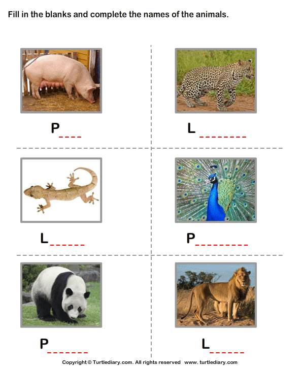 Names of Animals | Turtle Diary Worksheet Names of Animals | Turtle Diary Worksheet