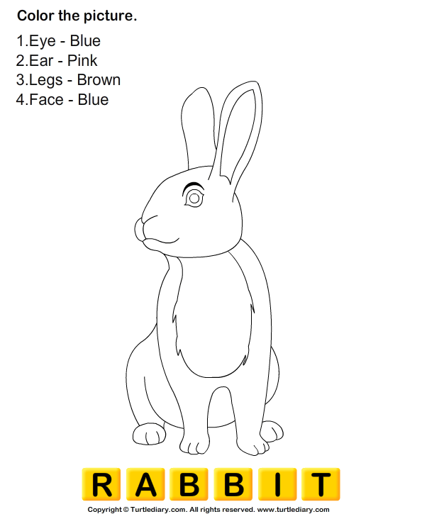 Rabbit Coloring Pictures Worksheet - Turtle Diary